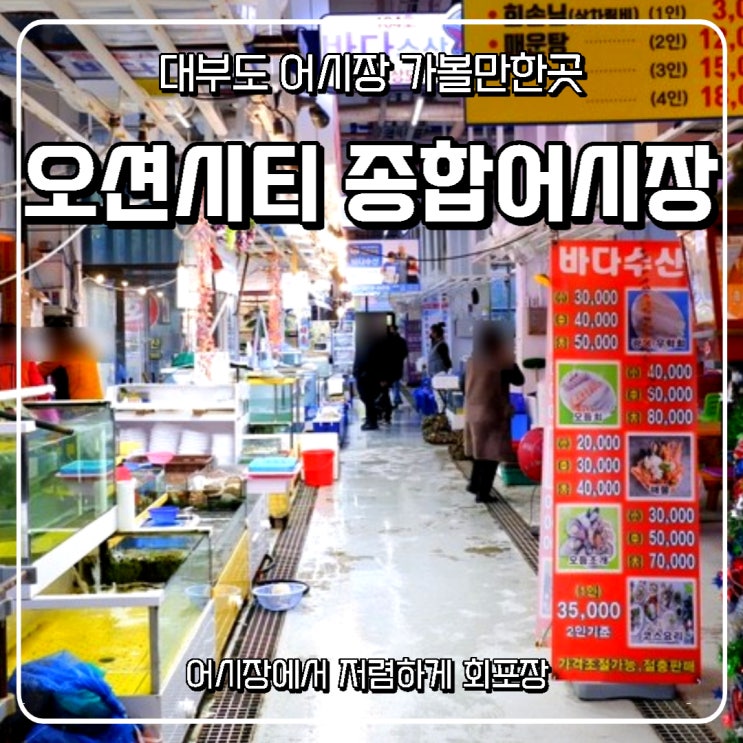 대부도 어시장 가볼만한곳 오션시티 종합어시장 회 포장 후기 네이버 블로그