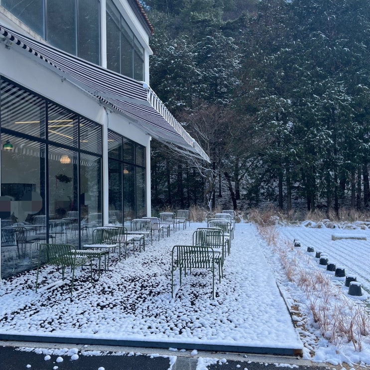 담양 메타프로방스카페 수제 디저트가 맛있고 사계절 내내 분위기가 좋은 프레피카페 네이버 블로그
