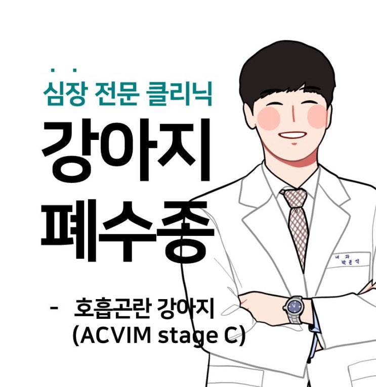 강아지 심장병으로 인한 폐수종 치료기 : ACVIM stage C단계 : 네이버 블로그