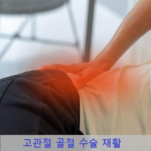 겨울 노인 사망율 높이는 고관절 대퇴골 골절 수술후 재활 회복기간 네이버 블로그