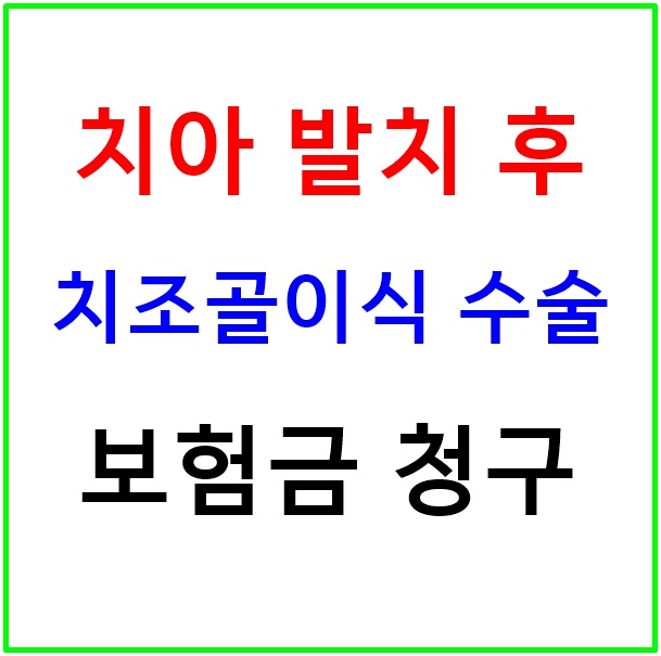 치조골이식수술비 보험금 청구 사례 네이버 블로그