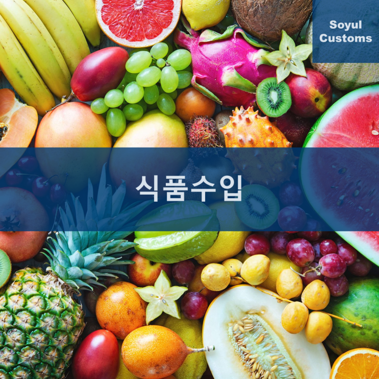 식품수입 절차 식품수입 필요서류 식품검역 알아보기 네이버 블로그