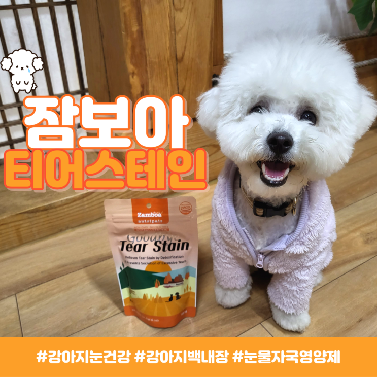 강아지백내장영양제 비숑 눈물자국 잠보아티어스테인 네이버 블로그