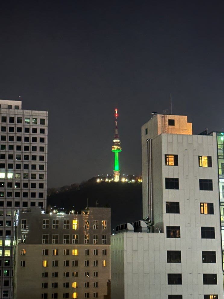 서울 가성비 호캉스 을지로 나인트리 호텔 명동2 남산타워뷰 호텔 신세계 롯백 크리스마스 트리 투어 네이버 블로그