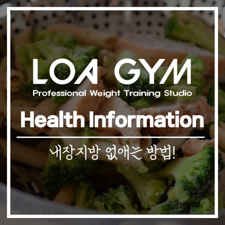 월곡헬스장 로아짐 딱딱한 뱃살 내장지방 제거하는 방법 네이버 블로그