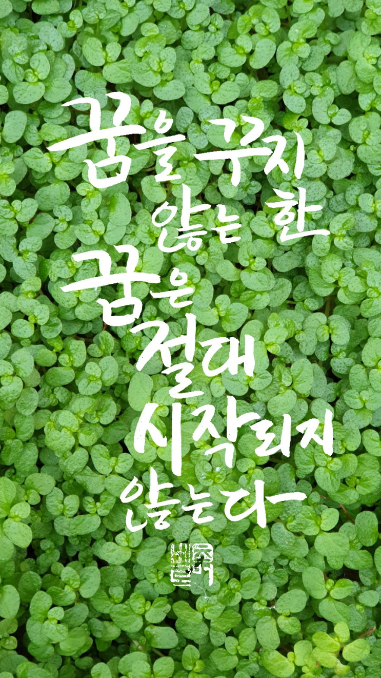 꿈을 꾸지 않는 한 꿈은 절대 시작되지 않습니다 지금 여기에서부터입니다 좋은글 좋은글이미지 지금여기 네이버 블로그