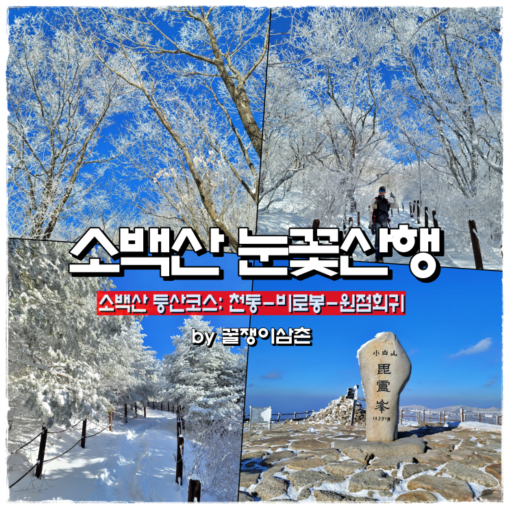 소백산 등산코스 천동 ~ 비로봉 칼바람맞으며 인생 상고대 영접 네이버 블로그