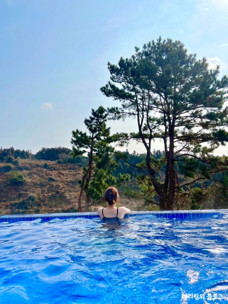 신혼여행 제주도 편 히든 클리프 호텔and네이처 2박 3일 파노라마 뷰 스위트룸인피니티 풀풀문나이트라운지 바조식