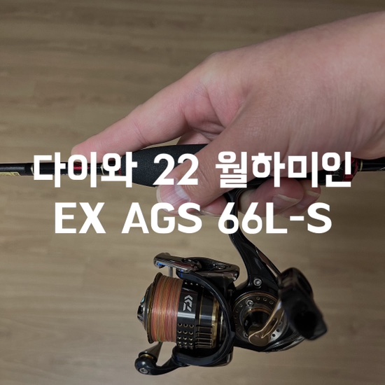 다이와 22월하미인EX AGS 66L-S : 네이버 블로그
