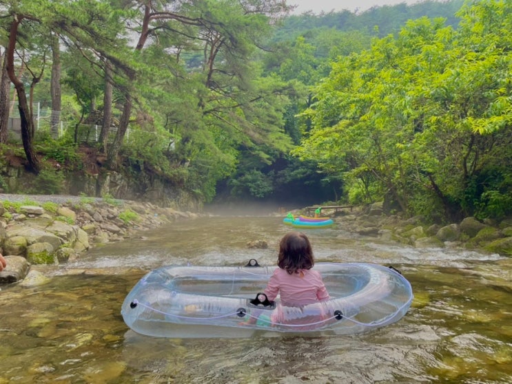 제천 솔내음 캠핑장 명암계곡 옆 깨끗한 시설에 매너타임 잘지켜지는 곳 Feat트램폴린 수영장 네이버 블로그