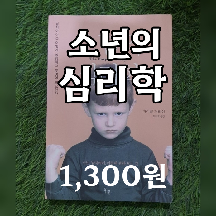소년의 심리학 책 판매 1300원 마이클 거리언 남자아이는 어떻게 성장하고 무엇이 필요한가 소년의 심리학과 소녀의 심리학은