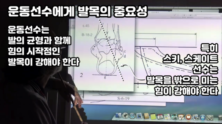 104. 스키, 스케이트 운동 시 중요한 근육과 신경 구조 KSNS KSS 스본 스도 : 네이버 블로그