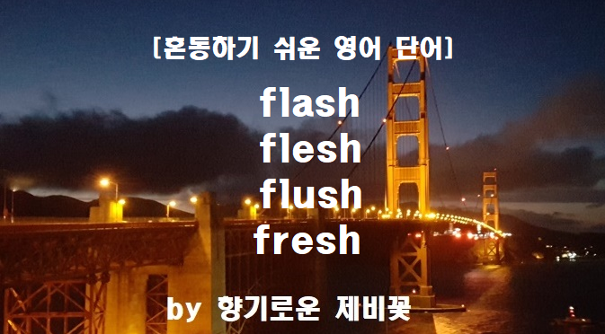 [혼동하기 쉬운 영어 단어] flash, flesh, flush, fresh : 네이버 블로그