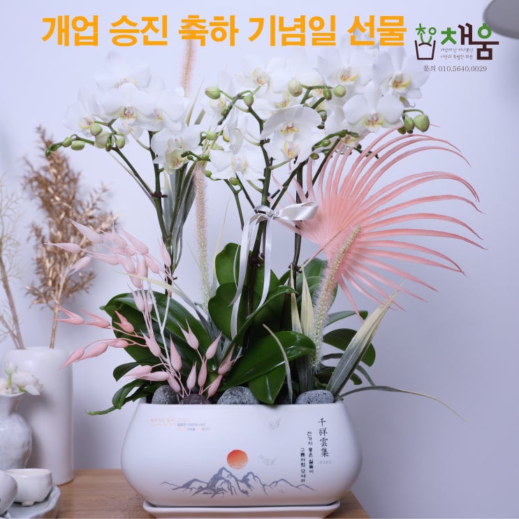 축하 화분배달 승진 개업 기념일 선물 Best 추천 네이버 블로그