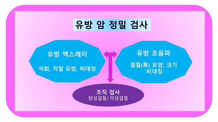 유방암 초기 발견을 위한 자가 검진 및 유방 검진 네이버 블로그