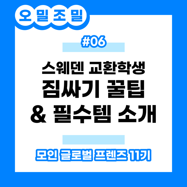 모글즈 11기 스웨덴 교환학생 짐싸기와 북유럽 생존을 위한 필수템 네이버 블로그