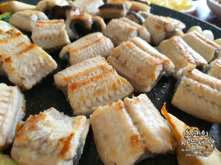 부산 사상 장어구이 장어탕 사상 맛집 추천 호포장어마을 네이버 블로그