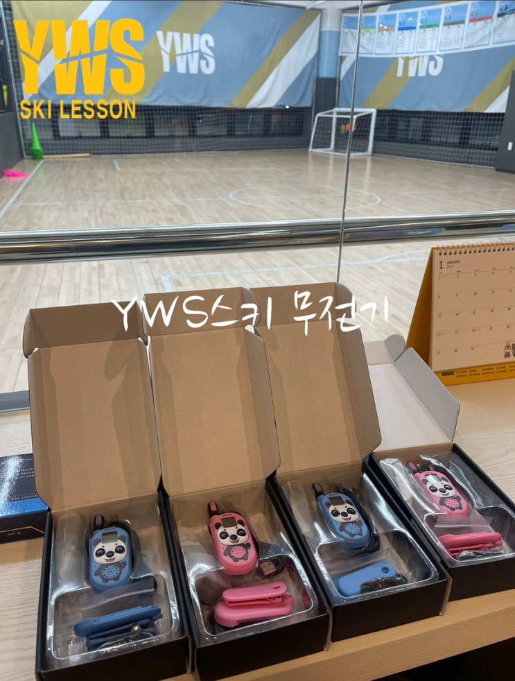 대한민국 1등 어린이스키강습 센터 YWS강서어린이스포츠 : 네이버 블로그