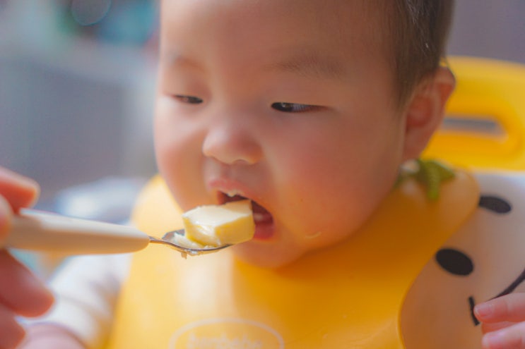 아기 계란찜 레시피 노오븐 커스터드 달걀 우유푸딩 만들기 네이버 블로그