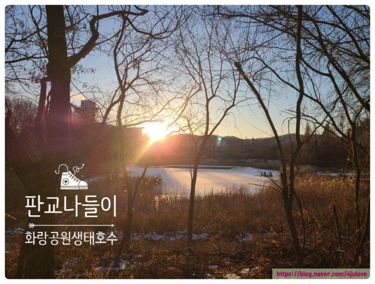 판교 화랑공원 운중천 And 금토천 그리고 화랑공원 생태호수 판교 가볼 만한 곳 운중천 길냥이 가족 And 백로 동영상