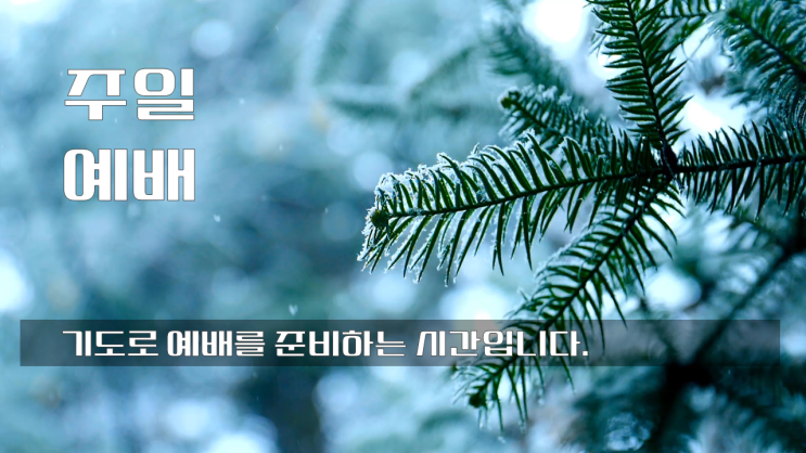 무료 템플릿 공유 예배 Ppt 템플릿 겨울 느낌 크리스마스 네이버 블로그