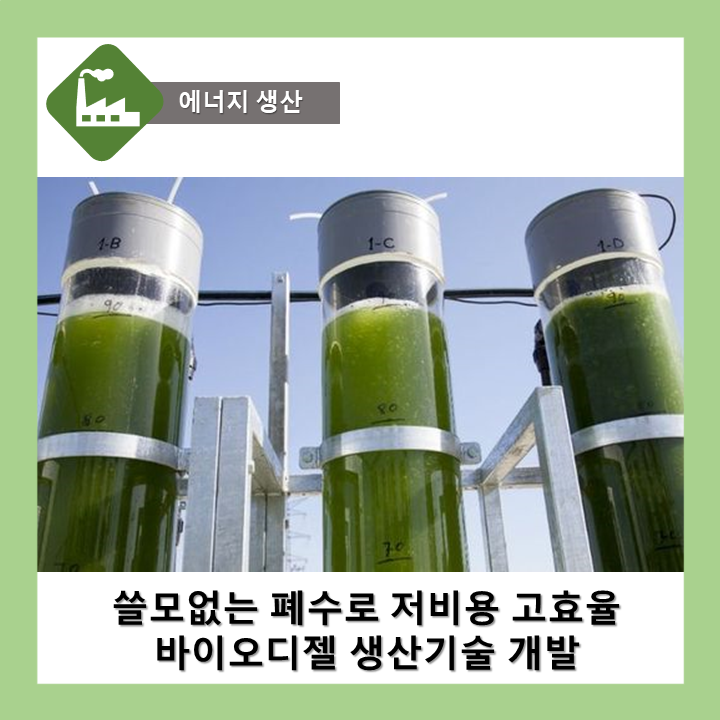 쓸모없는 폐수로 저비용 고효율 바이오디젤 생산기술 개발 네이버 블로그