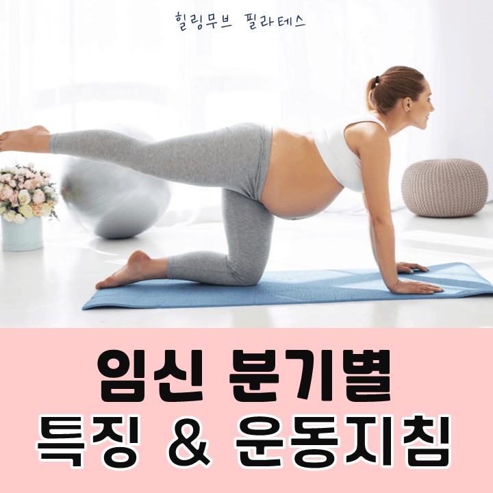 임산부도 운동을 해야하나요 2 임신 분기별 특징과 운동 지침 임산부 필라테스 산전 운동 네이버 블로그