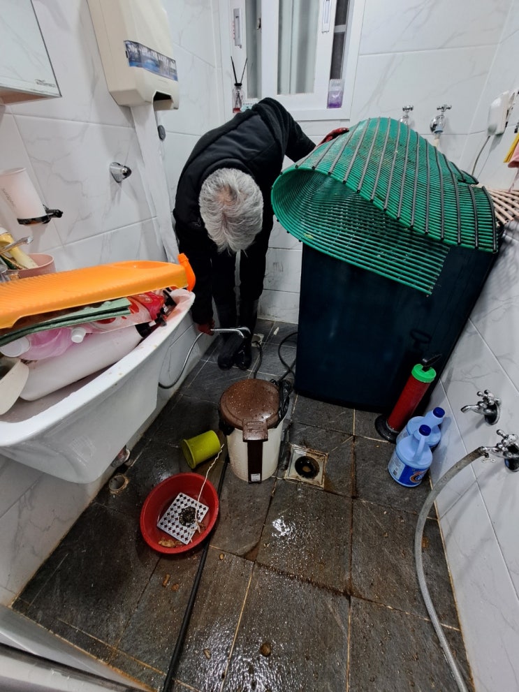 하남 변기배관막힘 화장실 역류 고압세척작업 정화조 깨짐이 원인 네이버 블로그