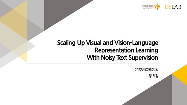 [학부연구생] 논문세미나 : Scaling Up Vision and Vision-Language Representation ...