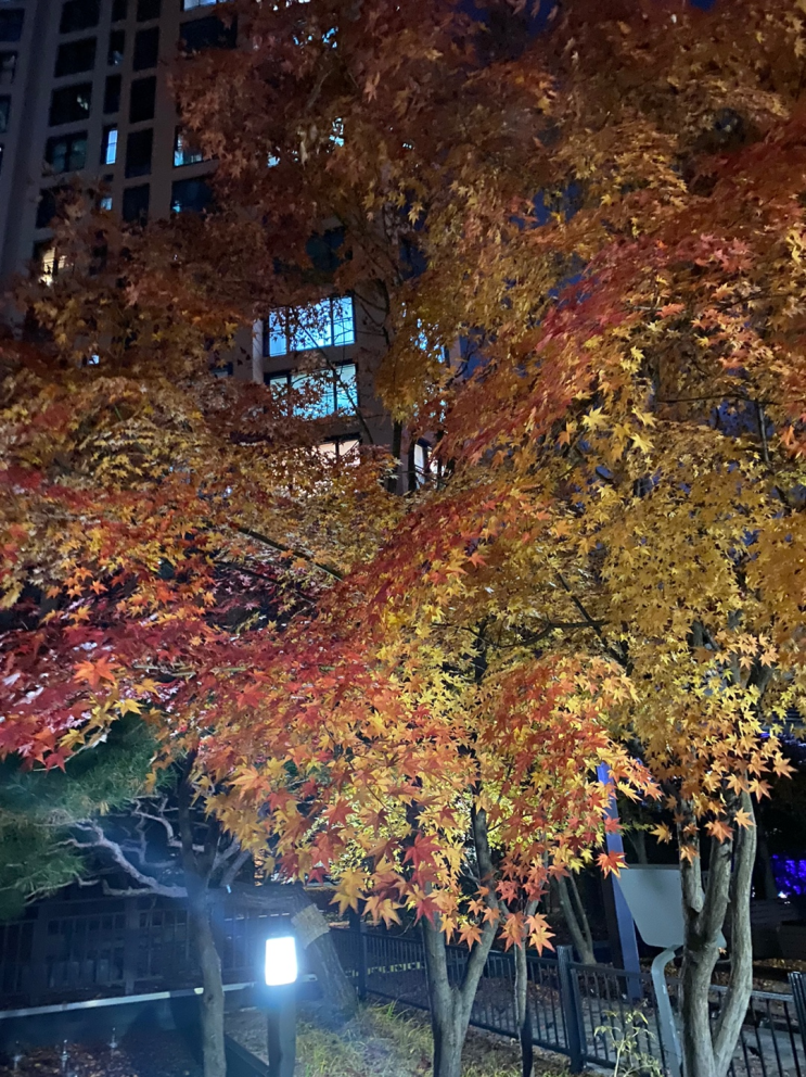 요즘 이런 말 하면 욕 먹습니다만 : 네이버 블로그