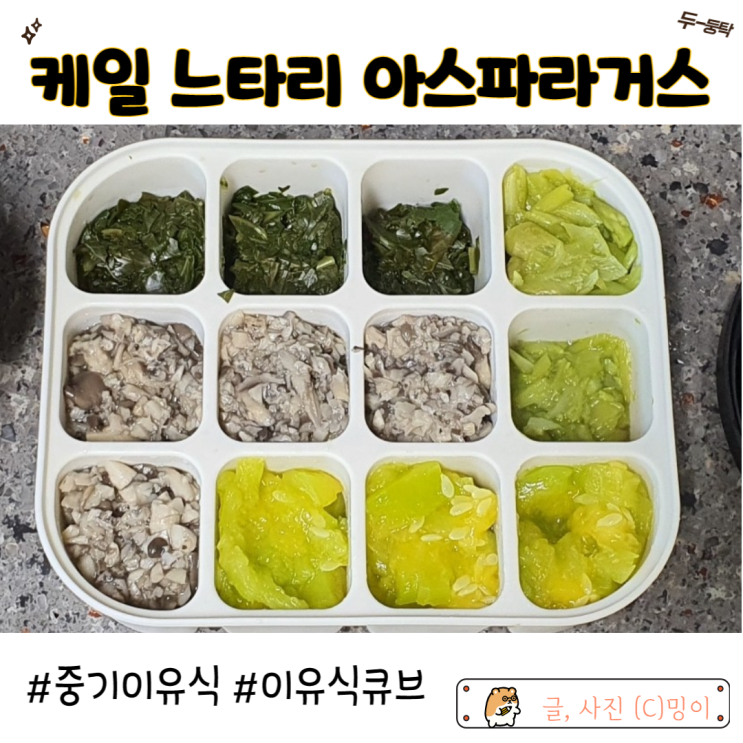 중기 이유식 느타리버섯 케일 아스파라거스 큐브 만들기 네이버 블로그