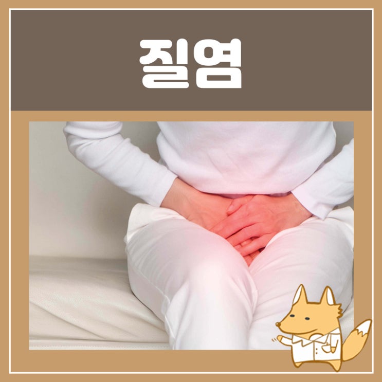 여자 질염 종류 트리코모나스 질염 약 후라시닐정 트리코모나스 남자 여자 증상 원인 네이버 블로그