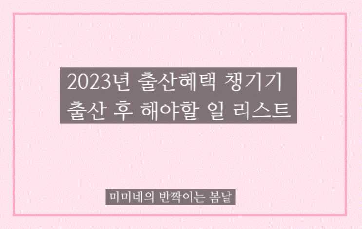 2023년 출산혜택 챙기기 출산 후 해야할 일 정리 네이버 블로그