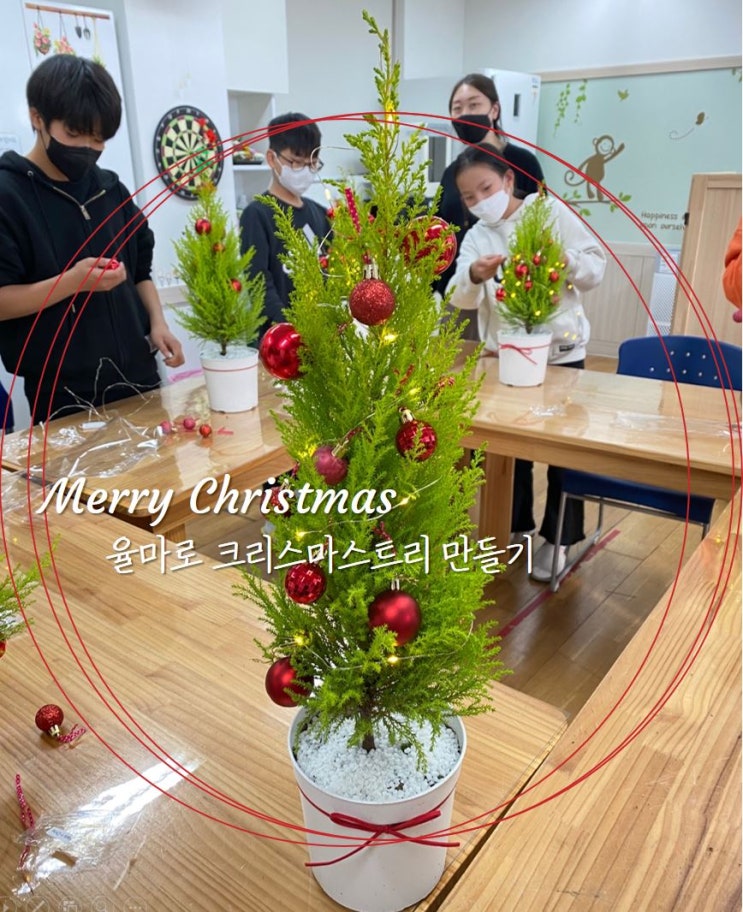 크리스마스원예수업 율마로 크리스마스 트리 만들기 네이버 블로그