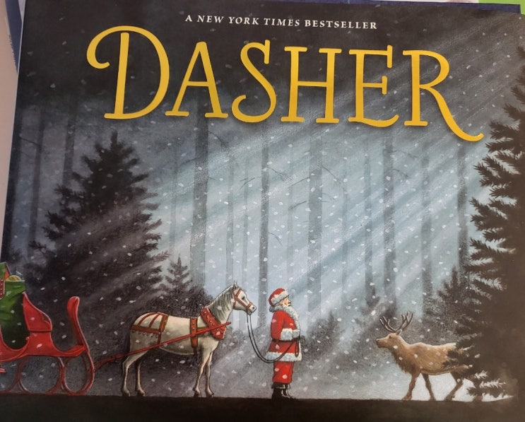 하루한권원서 DASHER : 네이버 블로그