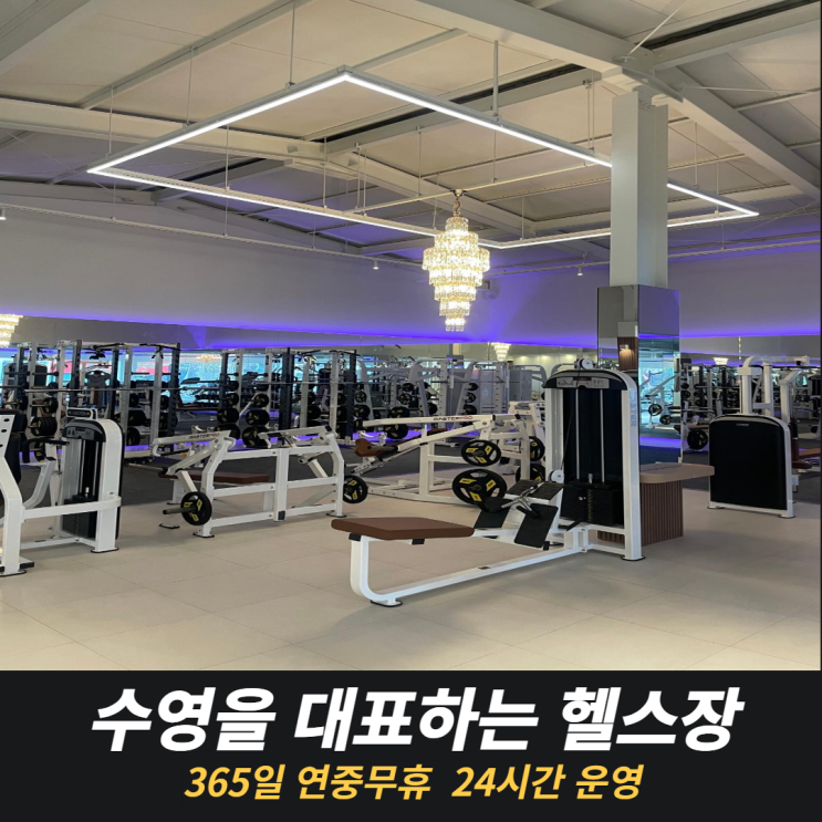 수영구 헬스장 연중무휴 24시간 운영 정석피트니스 수영헬스장수영역헬스장수영헬스장부산헬스장수영역pt수영pt 네이버 블로그