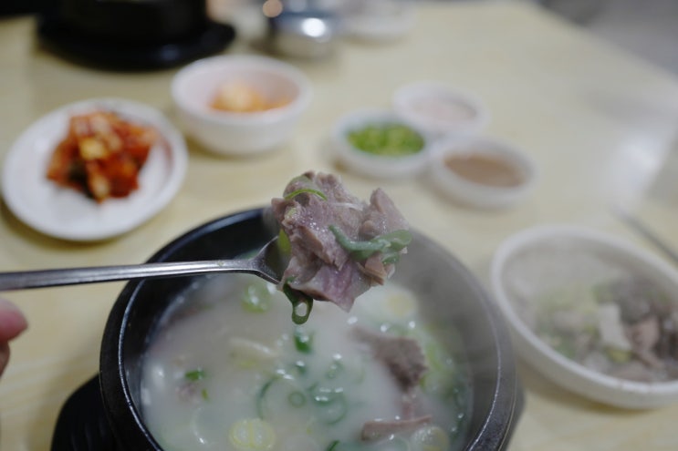 강원태백황지 태백 순대국 맛집 한솔식당 민규형과 여행 5 네이버 블로그