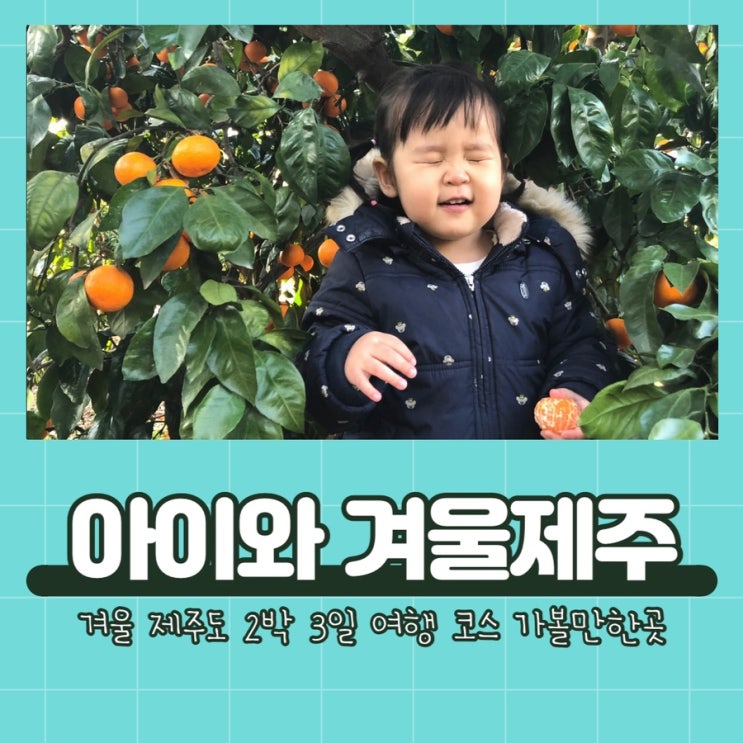 아이와 겨울 제주도 가볼만한곳 2박3일 제주 여행 코스 숙소 애월 키즈펜션 기준 네이버 블로그