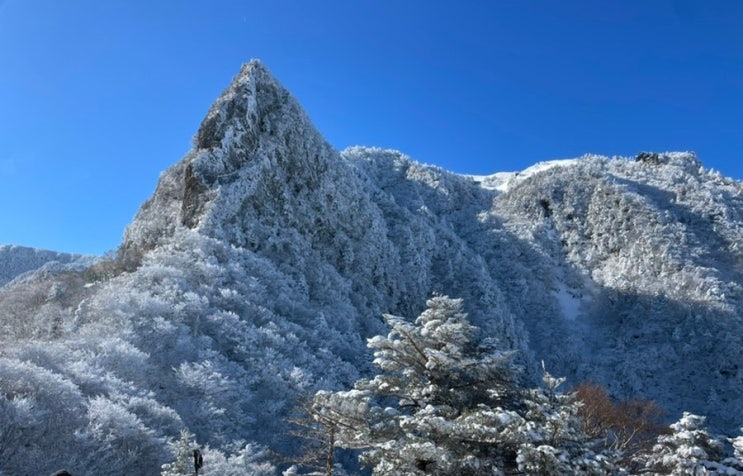 한라산 겨울 산행 준비 1탄 한라산탐방 예약시스템 장비대여 등산 복장 추천 네이버 블로그