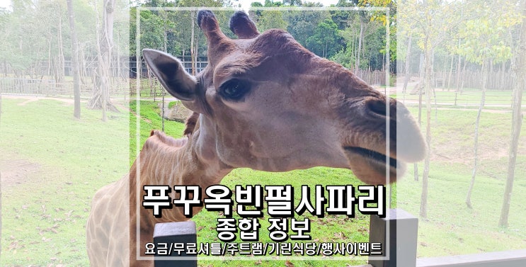 푸꾸옥여행 푸꾸옥빈펄사파리 모든것 무료셔틀 입장권 요금 주트램 Vip투어 기린식당 코끼리먹이주기
