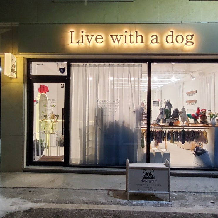 대전원데이클래스 리윗독 강아지 옷 만들기 : 네이버 블로그