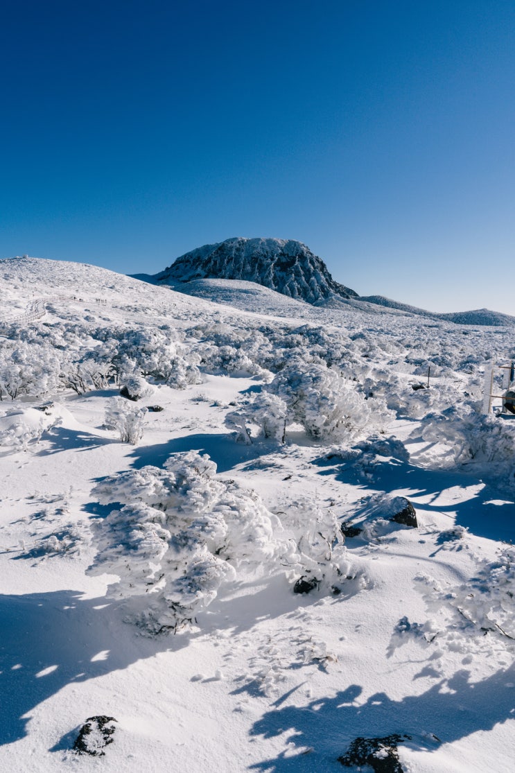 한라산 등산 난이도 쉬운 영실코스, 역대급 백록담 설경, 탐방로 입구부터 윗세오름까지(준비물 & 소요시간 & 아이젠 필수 ...