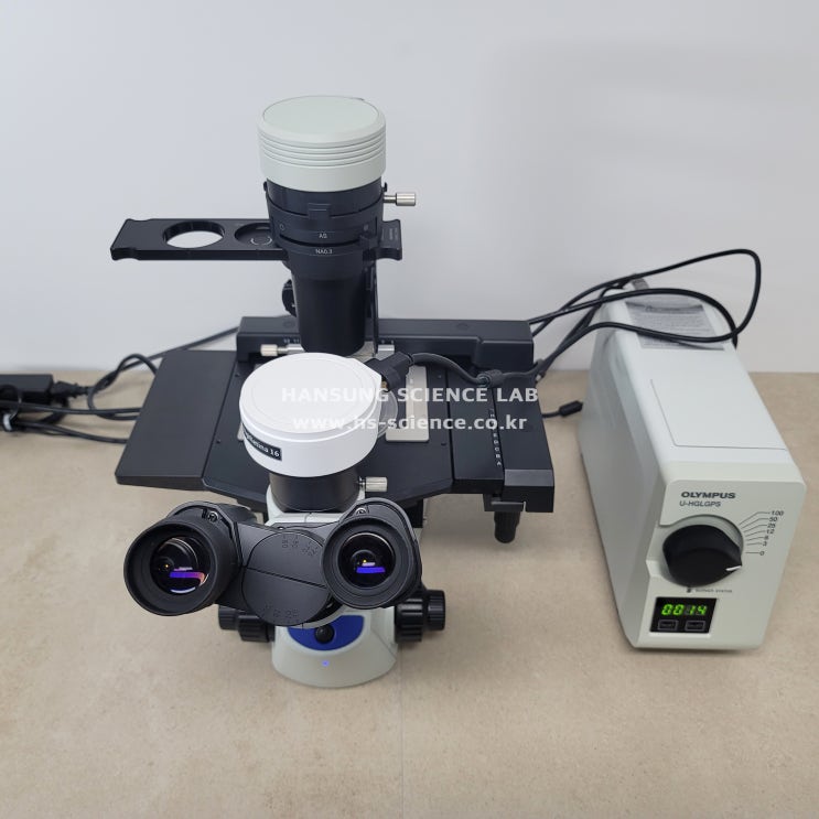 Olympus CKX53 SF Fluorescence Microscope , 도립 형광 현미경 (H370) : 네이버 블로그
