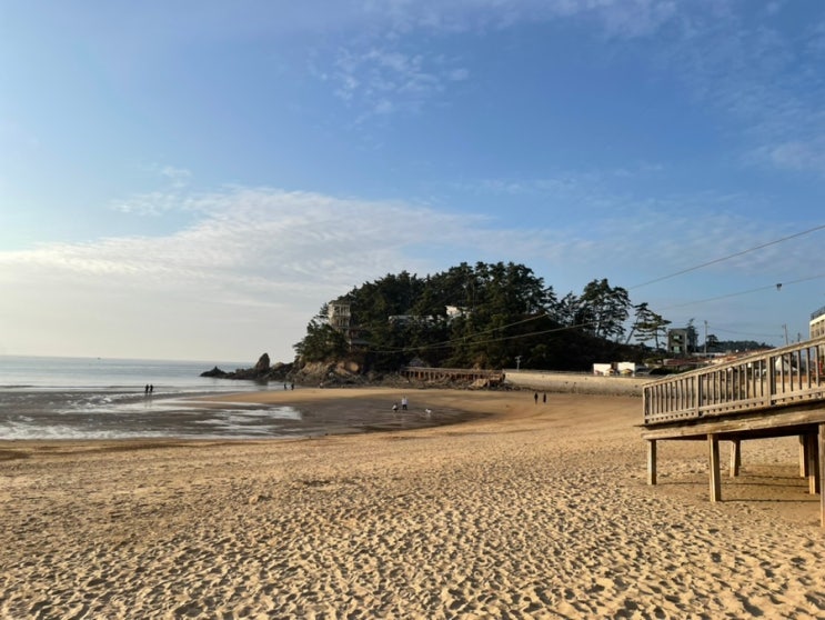 태안 만리포부터 모항항 수산물직판장까지 알찬 여행 네이버 블로그