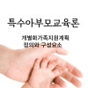 특수아부모교육론 개별화가족지원계획의 정의와 구성요소 정리 네이버 블로그