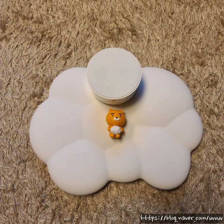 카카오 스마트 체중계 라이언 리뷰 : 네이버 블로그