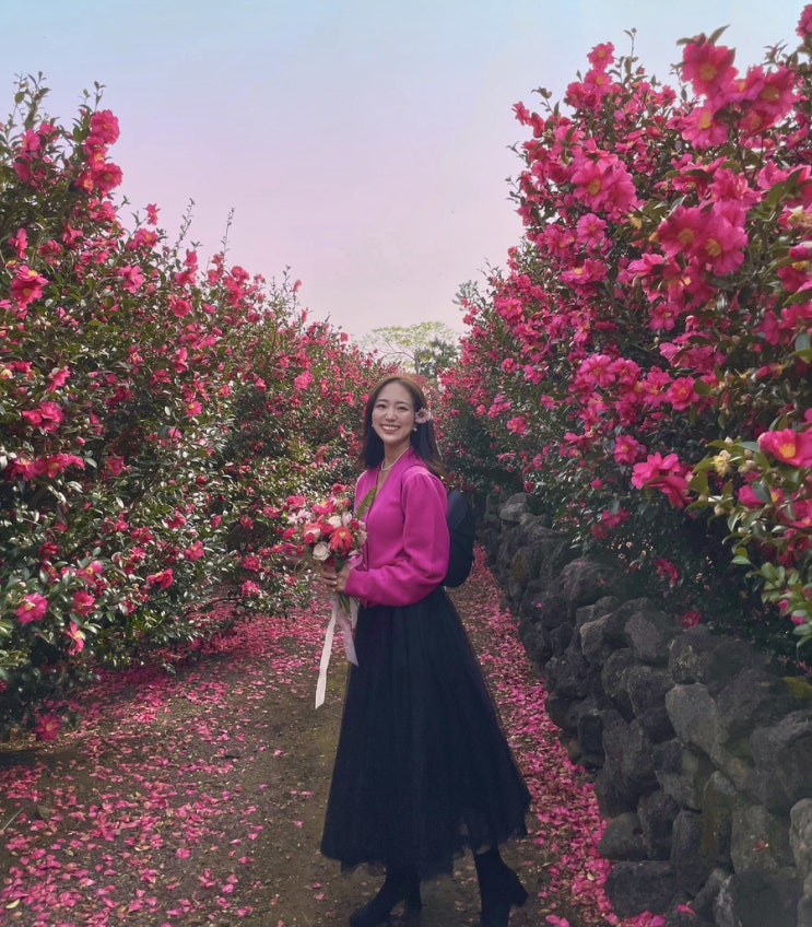 여행로그 제주여행 2박 3일 겨울 제주 동백여행 코스 추천♥ 제주가볼만한곳 서귀포 호텔 제주 맛집 카페 추천