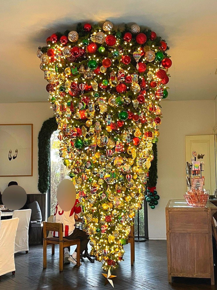 [제주 마마롱(MAMARRON)] 제주시 애월읍 평화로 2783_거꾸로 매달려 있는 트리 & 베이커리 맛집 🌲🎄💚🥐🤎 : 네이버 블로그