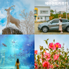 제주 렌트카 추천 Xm3 완전자차로 안전하게 네이버 블로그