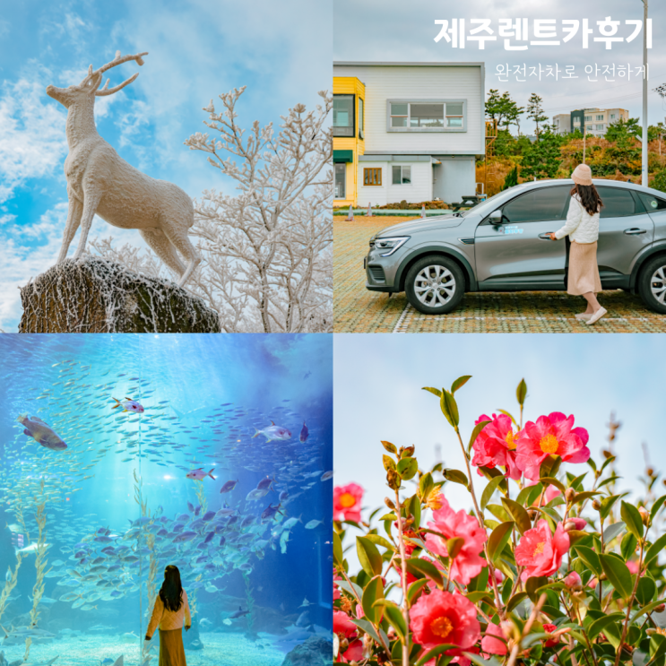 제주 렌트카 추천 Xm3 완전자차로 안전하게 네이버 블로그